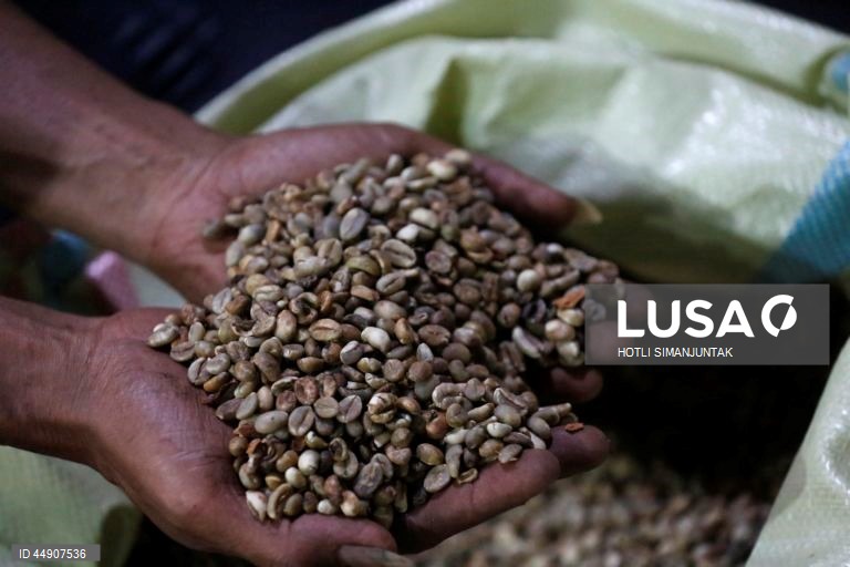 Angola precisa de uma "grande revolução" para voltar a ser forte ...